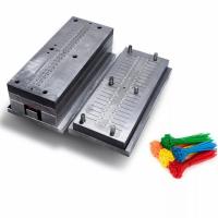 China Nylon Label Tie Tape Injection Molds Maker Cable Tie Plastic Injection Mould for sale
