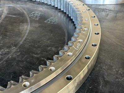China CT E110  Slewing Bearing Slewing Ring  Excavator for sale