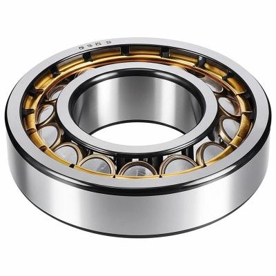 China Grease Lubricated Double Row Cylindrical Roller Bearing for Corrosion Resistance and Heavy Duty Applications for sale