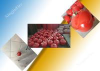 China Red Clean Agent FM200 Fire Extinguishing System Factory Direct Quality Assurance Best Price for sale
