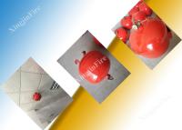 China 40L Single Zone FM200 Gas Suppression System with ≤8s Spraying Time HFC-227ea Fire Extinguishing System for sale