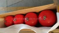 China Environment-Friendly FM200 Hanging System Without Pollution FM200 Fire Suppression System Reasonable Good Price for sale