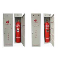 China Customized FM200 Cabinet System with 100kg Capacity and 10 Seconds Fire Suppression for Reliable Automatic Fire Protection for sale