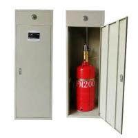 China Wall Mounted FM200 Cabinet System Fire Extinguishing Time 10 Seconds for sale