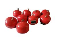 China 20L Capacity Automatic Actuation FM200 Automatic Fire Extinguisher with Enclosed Flooding for Hanging Fire Suppression Unit for sale
