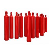 China Rechargeable IG55 Gas Fire Suppression Cylinder for Industrial Hazard Protection for sale