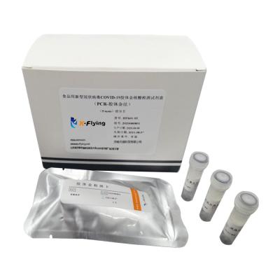 China SARS CoV2 Nucleic Acid Detection Kit 100 copies/ml for sale