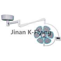 China Adjustable 5000K Shadowless Operating Lamp For Hospital for sale