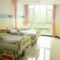 China OEM ABS Steel Hospital Nursing Bed Triple Folding for sale