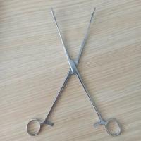 China Surgical Hospital Tools And Equipments Medical Sponge Holding Forceps for sale