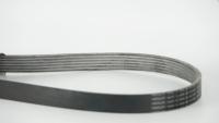 China 11720-5TU0A BELT-FAN ALTERNATOR FOR QASHQAI TEANA ALTIMA MAXIMA X-TRAIL ROGUE for sale