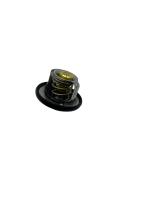China 21200-ED00A 21200-3AA0A 21200-5MA0A 21200-5RF1A THERMOSTAT FOR TIIDA TIIDA SYLPHY SENTRA LIVINA TEANA ALTIMA SUNNY MR20 for sale