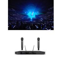 China Dual Handheld Dynamic Moukey Wireless Microphone Karaoke Anti Interference 295ft for sale