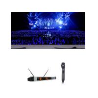 China Clear Sound Wireless UHF Microphone For Professional Vocal Concert for sale