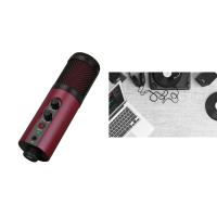 China 98db SNR Usb Desk Microphone For Computer Chatting Singing Dubbing for sale