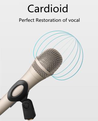 China Metal Mesh Head wired Studio Condenser Microphone 23.5mm*180mm for sale