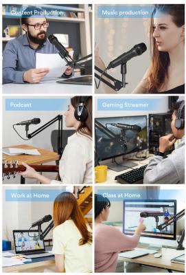China 176g Handheld Studio Condenser Microphone With Sound Card for sale