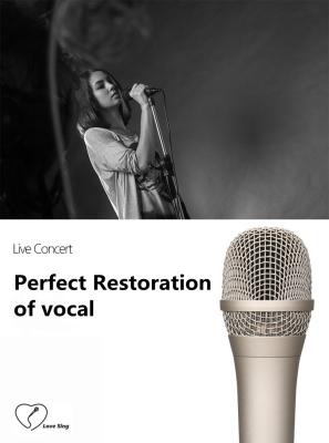 China All Metal Studio Condenser Microphone 20mm*166mm Youtube Singing Microphone for sale