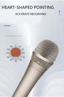 China Noise Canceling Studio Condenser Microphone 140dB SPL Tiktok Karaoke Microphone for sale
