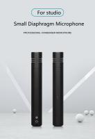 China Hypercardioid Pencil Condenser Mic For Instrument Sampling OEM ODM for sale