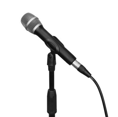 China 21mm*141mm Tiktok Karaoke Microphone Auto Audio Mixer Mic CE ROHS for sale