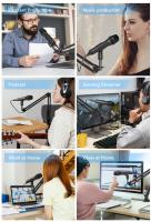 China Large Diaphragm Studio Condenser Microphone For Live Speech 20mm*166mm for sale