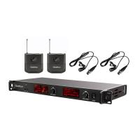 China Optical Coaxial Input Wireless Handheld Karaoke Microphone Double Channel Microphone for sale