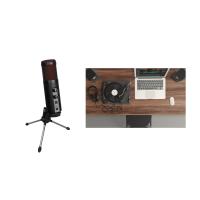 China Portable USB 2.0 Wired Cardioid Condenser Microphone For Studio for sale