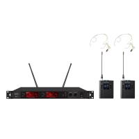 China Pro Audio Wireless Microphone System True Diversity 2x100 Channel UHF Handheld for sale