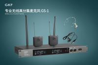China Dual Wireless Handheld Microphone System Echo For Karaoke DJ PA Presentation Live Performance for sale