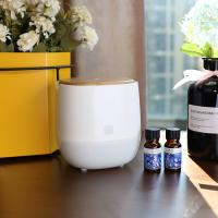 China Essential Oil Aromatherapy Diffuser Waterless Air Pump Nebulizer USB Powered for sale
