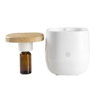 China Essential Oil Aromatherapy Diffuser Waterless Air Pump Nebulizer USB Powered for sale
