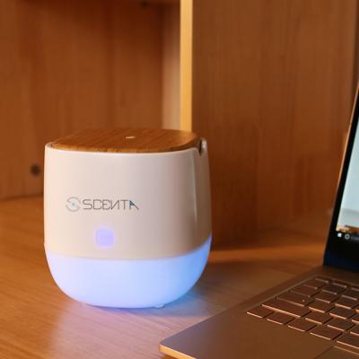 China Essential Oil Aromatherapy Diffuser Waterless Air Pump Nebulizer USB Powered for sale