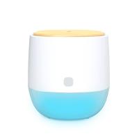 China 30ml USB 5V Home Perfume Diffuser Waterless Nano Spray Cool Mist Nebulizer for sale