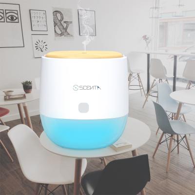 China Private Label Diffuser Aromatherapy Low Power APP Perfume Diffuser Machine for sale