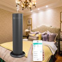 China Air Perfume Nano Mist Aroma Diffuser Waterless Aromatic Oil Diffuser for Home for sale
