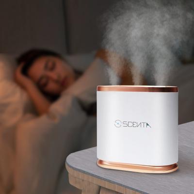 China Custom Room Fragrance Mist Maker Machine Scent Air Aroma Diffuser for sale