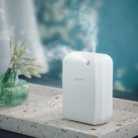 China Waterless Essential Oil Nebulizer Professional Aroma Diffuser Nano Mist for sale