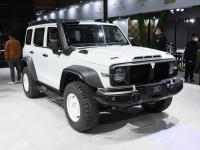 China 2023 GWM Off-road Tank 300 SUV Car 2.0T Petrol Fuel 4WD Equipped with LED Headlight for sale