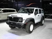 China 2023 GWM Off-road Tank 300 SUV Car 2.0T Petrol Fuel 4WD Equipped with LED Headlight for sale