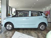 China 2022 Adults Levdeo Mango Energy Vehicles Letin Mango EV Electric Car with Performance for sale