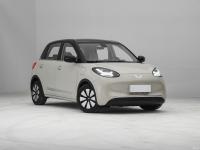 China 2023 Wuling Bingo Mini EV CLTC 333km Five-Door Four-Seat Energy Small Pure Electric Car for sale