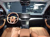 China Energy Weima Weltmeister W6 Electric Car with 160KM/h Top Speed and 160KW Motor Power for sale