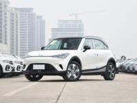 China 180km/h Top Speed 2024 Phantom 1 5-door 5-seater PRO version electric energy vehicle for sale