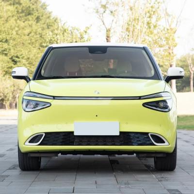 China Hybrid Fuel Type 2024 Nammi 01 MAX Small Intelligent Energy Vehicle with 430KM Range for sale