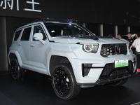 China Tank 700 Hi4-T 2024 Hybrid SUV with 120KW Motor Power and 5-Door 5-Seat Body Structure for sale