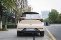 China 335KM Pure Electric Range Yue 01 2024 Model Lingyue Version with Battery Type Lithium for sale