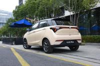 China 335KM Pure Electric Range Yue 01 2024 Model Lingyue Version with Battery Type Lithium for sale