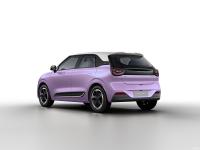 China Max Smart Energy Vehicle Dongfeng Nami 01 2024 430 with 4030*1810*1570 Body Structure for sale