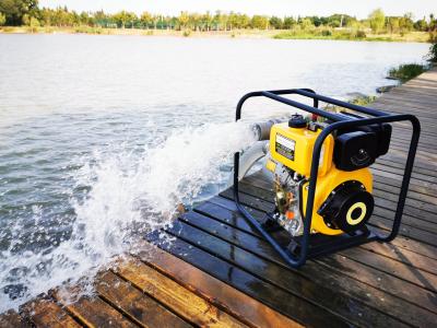 China 50Hz 60Hz Sewage Water Pump Featuring Max Suction Head 8 M and Rated Total Head 16m Suitable for Sewage Treatment Plants for sale